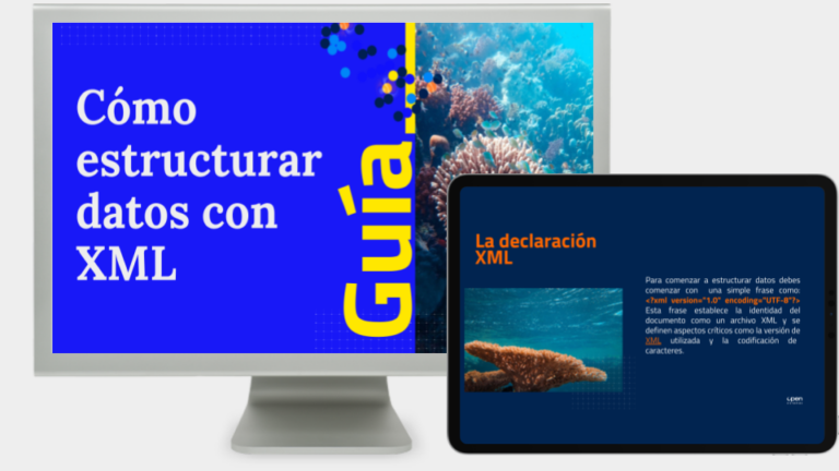 Cómo estructurar datos con XML [Guía] - OpenSistemas