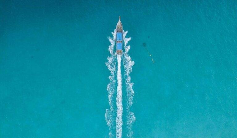 YOLOv9: A revolutionary breakthrough in object detection - OpenSistemas